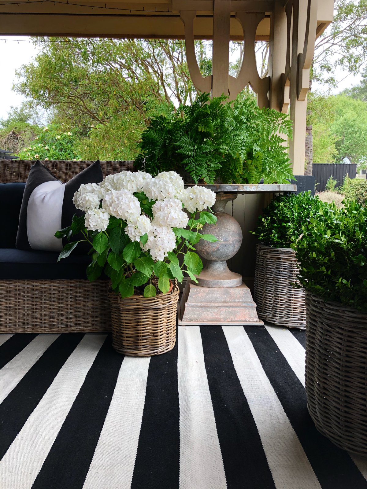Black white outdoor rug store